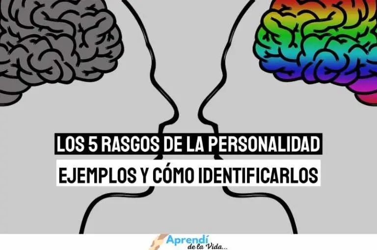 Los 5 Rasgos de la Personalidad y Cómo Identificarlos Rápidamente
