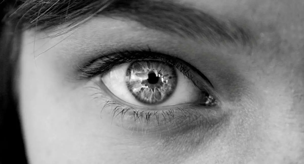 ¿Qué significa ser una persona intensa? | Aprendí de la Vida ¿Qué significa ser una persona intensa? | Aprendí de la Vida